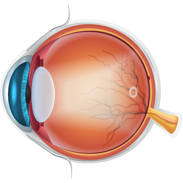 Cataract Eye Surgery Wisconsin, WI | Valley Eye Associates